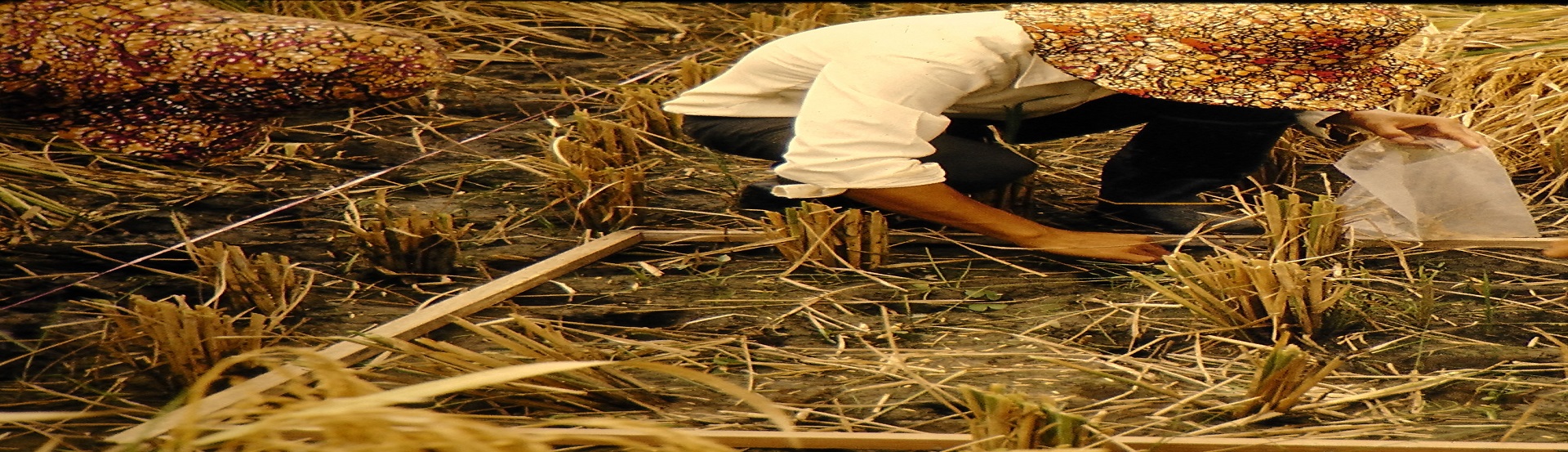 Planning And Development Department.